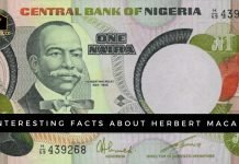 Interesting Facts – HistoryVille